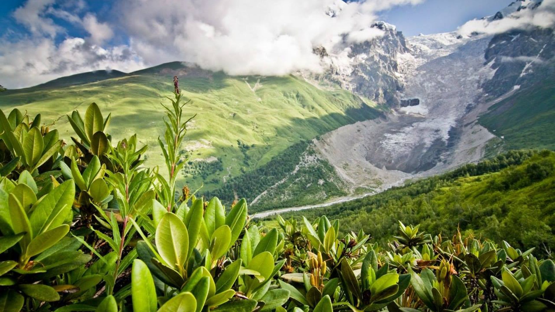 Kelionė į Gruziją aplankant Svanetiją ir Batumį | Poilsis Gruzijoje