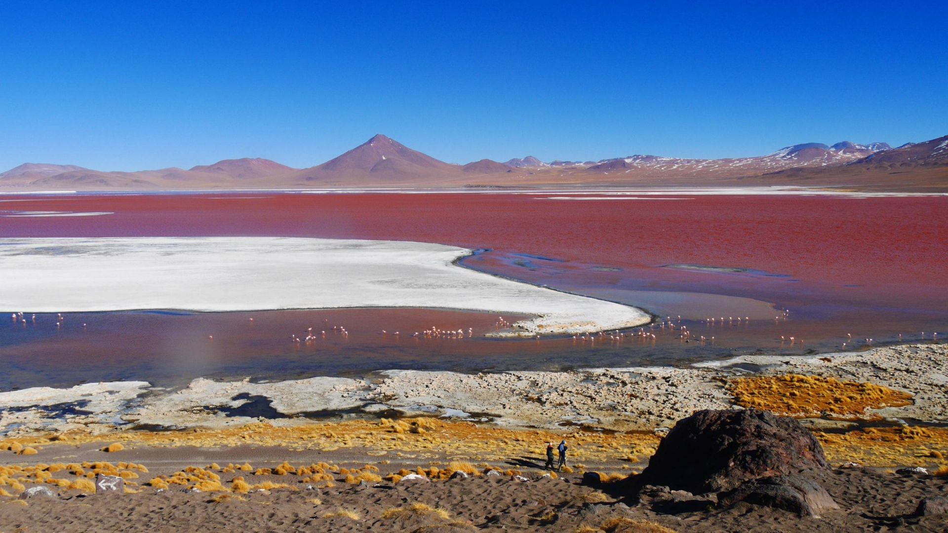 Kelionė į Peru - Boliviją | Ujunio druskos kasyklos | Maču Pikču