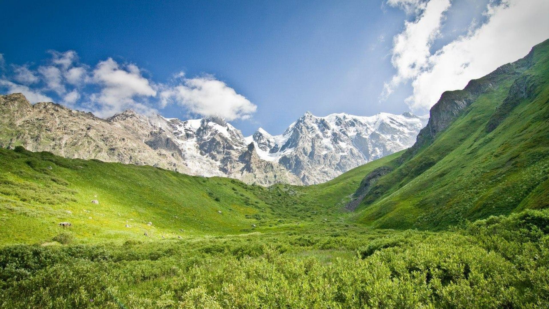 Kelionė į Gruziją | Didysis Kaukazas | Poilsis prie jūros