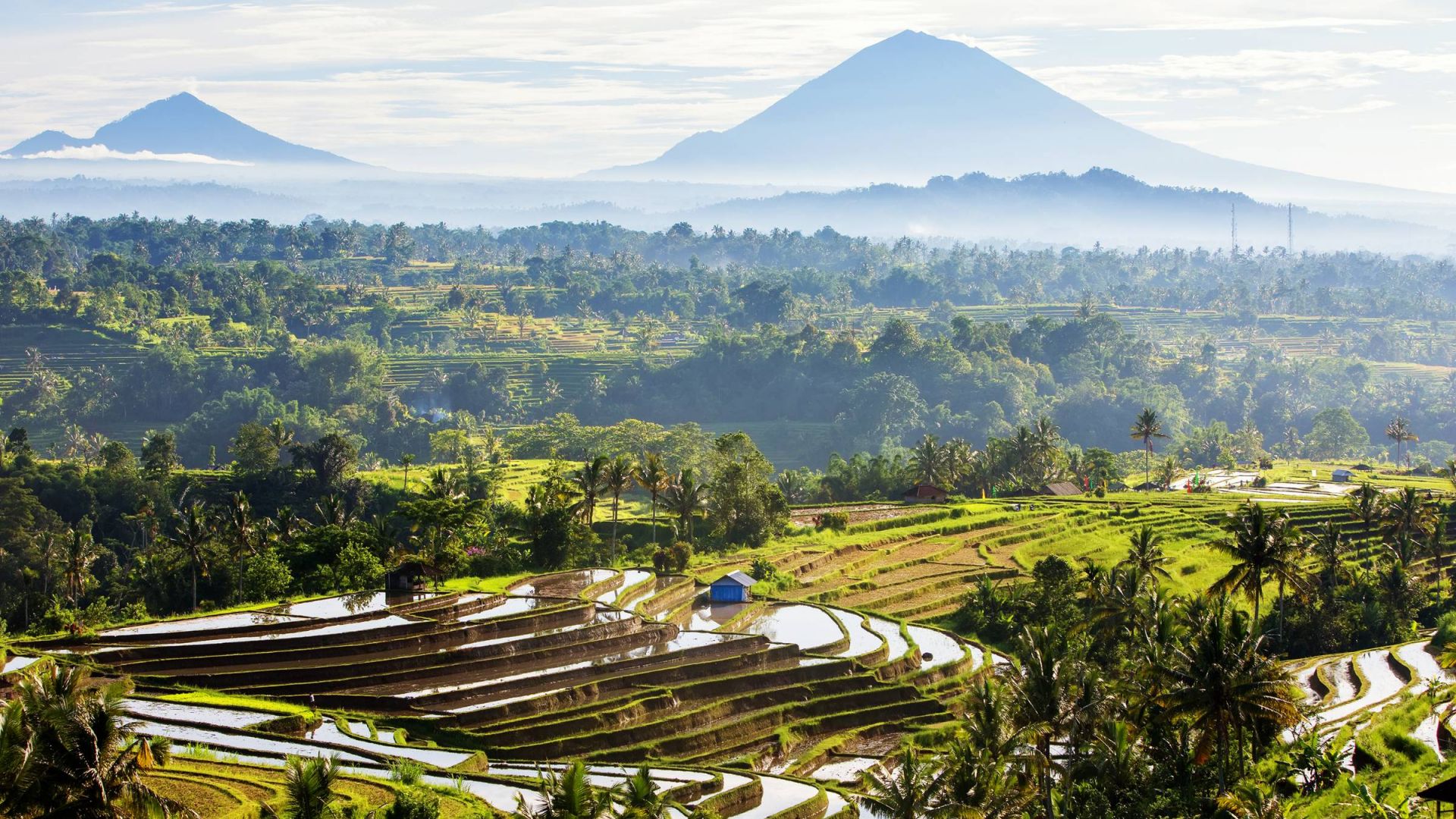 Kelionės į Balio salą | Atostogos Balio s.