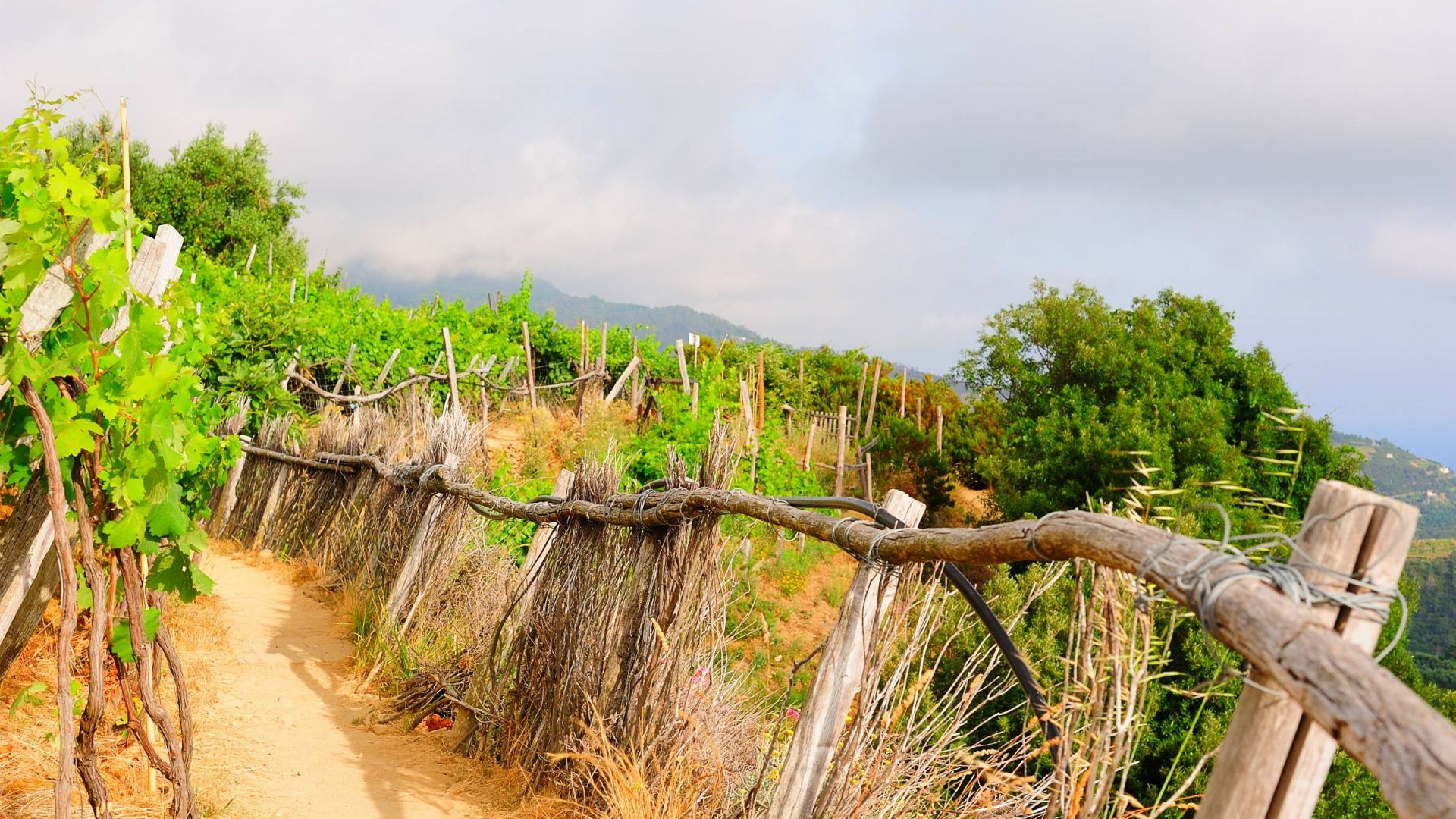 Italijos Rivjera | Italijos Rivjera ir Komo ežeras