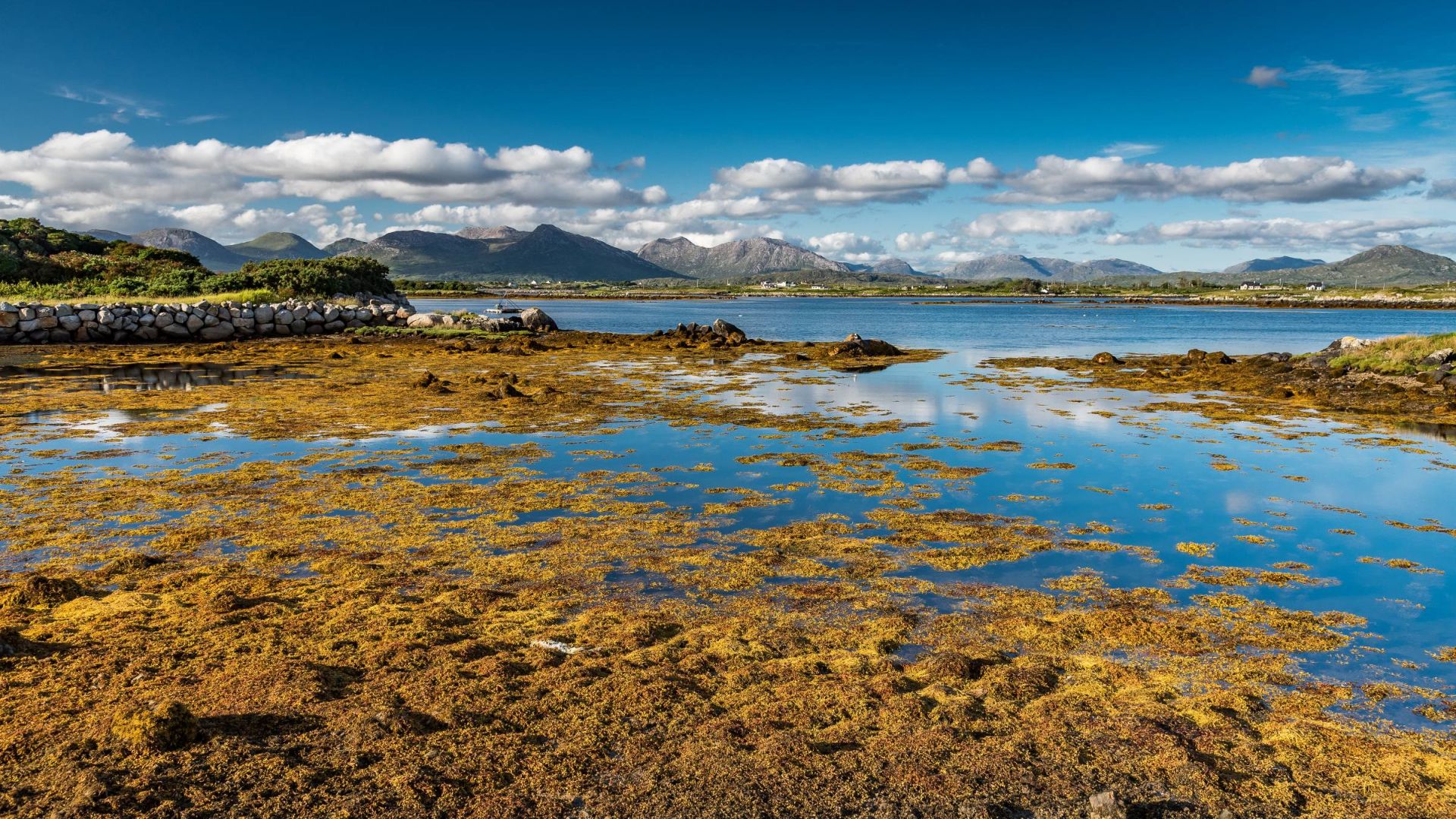 Visa Airija | Kelionė į Airiją lėktuvu | Vadovas iš Lietuvos