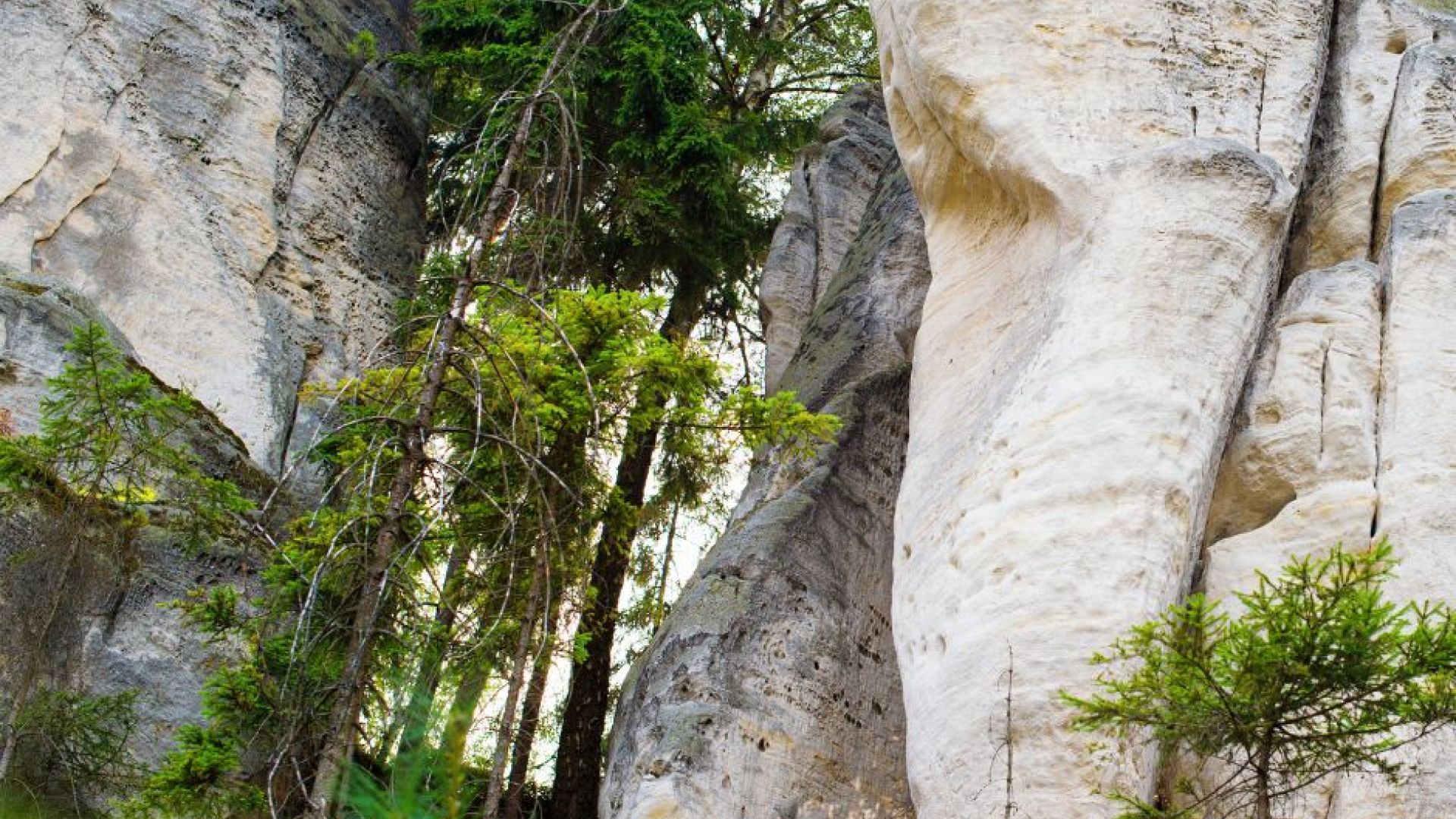 Poilsis Čekijos kalnuose | Kelionė į Ardšpadus | GRŪDOS kelionė