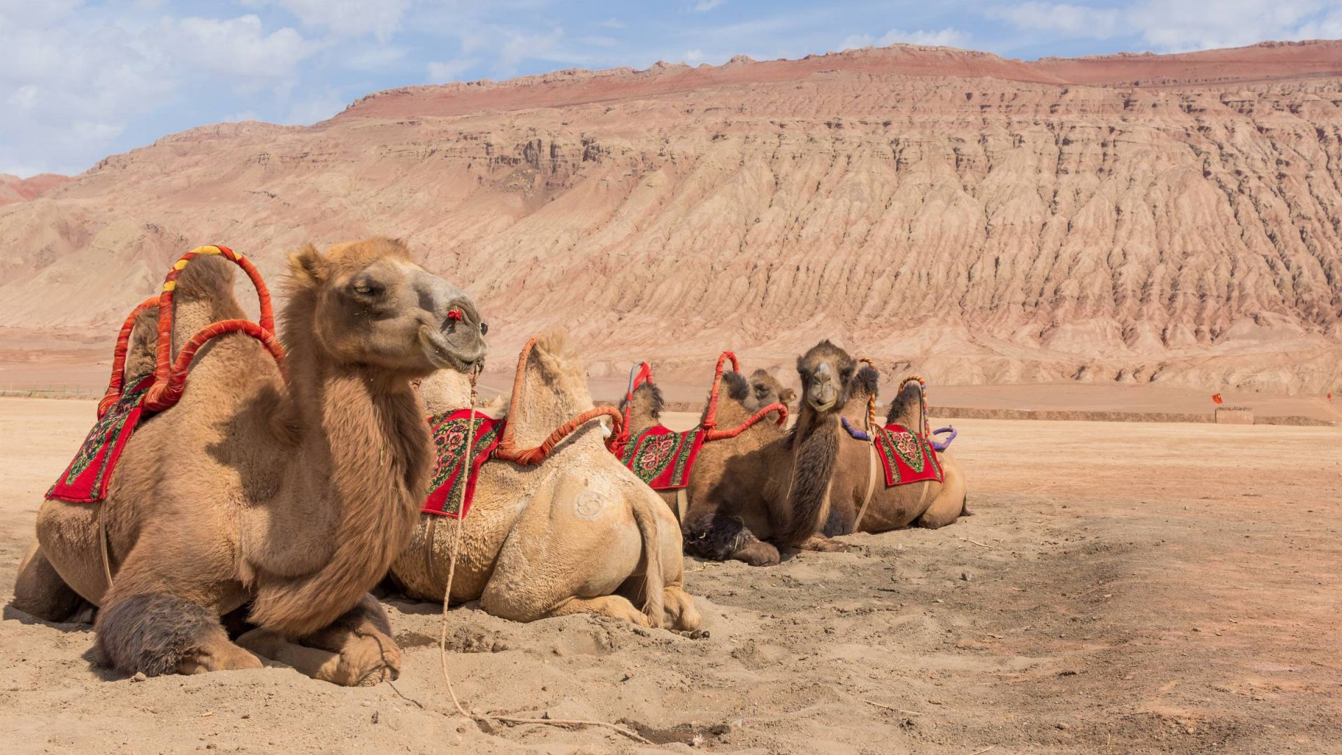 Išsami kelionė į Kiniją | Kinų siena | Šilko kelias