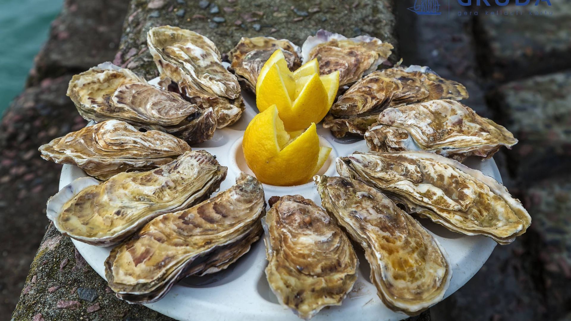 Prancūzija: Luaros slėnio pilys | Kelionė į Prancūziją | GRŪDA